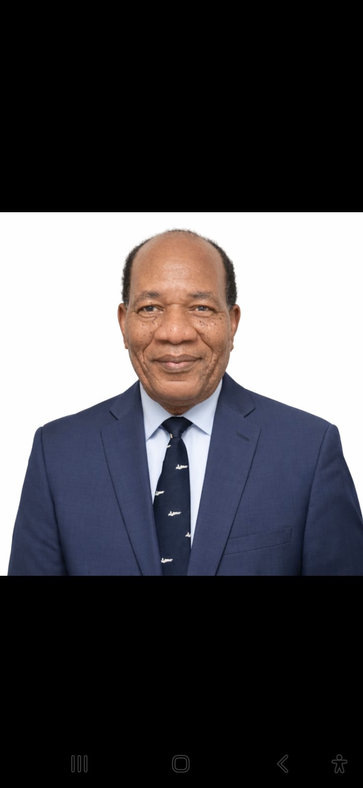 AGAMI — Allied Gold And Mineral International